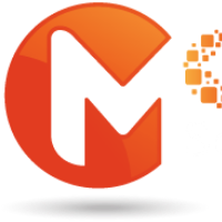 Moltech Solutions Pvt Ltd | Upwork