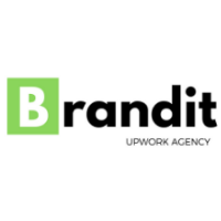 Brandit | Online Business Solutions | Upwork Company Profile - Hire Today