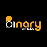 Binary Bits | Upwork Company Profile - Hire Today
