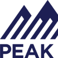 Peak BI | Upwork Company Profile - Hire Today