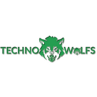 Techno Wolfs Web Solutions | Upwork Company Profile - Hire Today