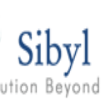 Sibyl Infotech Pvt Ltd | Upwork