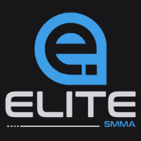Elite SMMA | Upwork Company Profile - Hire Today