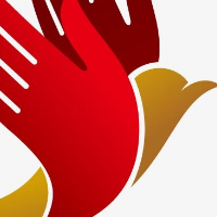 Data Analyst | Upwork Company Profile - Hire Today