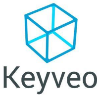 KEYVEO | Upwork Company Profile - Hire Today