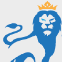 LionForce Technologies Pvt Ltd | Upwork