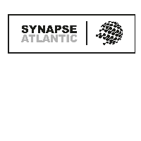 Synapse Atlantic | Upwork Company Profile - Hire Today