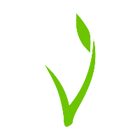 Vernality LLC | Upwork Company Profile - Hire Today