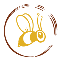 Bee Elite | Upwork Company Profile - Hire Today