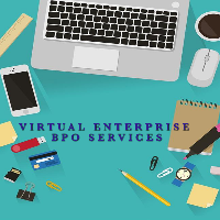 Virtual Enterprise BPO | Upwork
