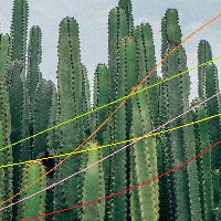 Cacti Analytics | Upwork Company Profile - Hire Today