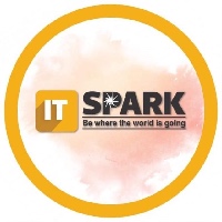 IT SPARK TECHNOLOGY (Dedicated Resource Providers) | Upwork