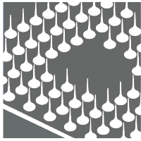 Citinet Solutions | Upwork Company Profile - Hire Today