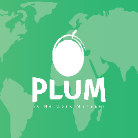 Plum iTV | Upwork Company Profile - Hire Today