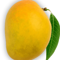 Solution Cascade Limited | Upwork