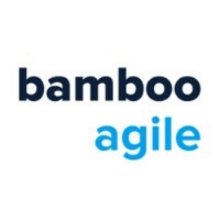 Bamboo Agile | Upwork Company Profile - Hire Today