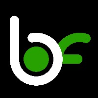 Binary Fusion | Upwork Company Profile - Hire Today