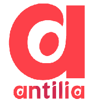 Antilia Solutions | Upwork Company Profile - Hire Today
