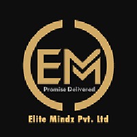 Elite Mindz Pvt Ltd | Upwork Company Profile - Hire Today