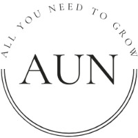 AUN- IT & Management Consulting Agency | Upwork Company Profile - Hire ...