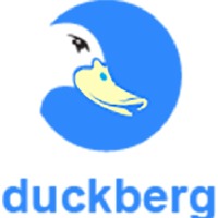 duckberg solutions | Upwork Company Profile - Hire Today