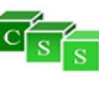 CSS Tech Solutions | Upwork Company Profile - Hire Today