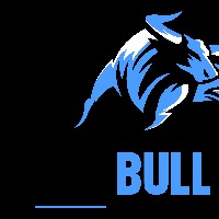 Web Bull India | Upwork