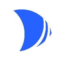 Digital Sharks | Upwork