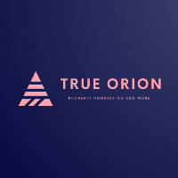 True Orion Consulting | Upwork Company Profile - Hire Today