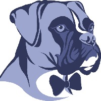 Boxer Studios | Upwork Company Profile - Hire Today