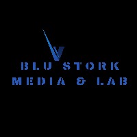 Blu Stork Media & Lab | Upwork
