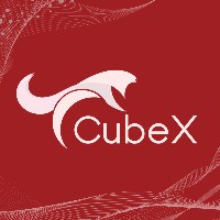 CubeX LLC | Upwork Company Profile - Hire Today