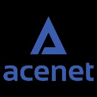 AceNet Consulting | Upwork Company Profile - Hire Today