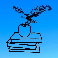 Hawk Shila | Upwork Company Profile - Hire Today