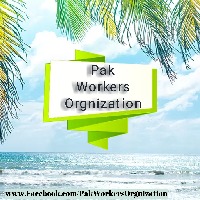 Pak Workers | Upwork Company Profile - Hire Today