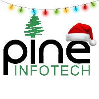 Pine Infotech | Upwork Company Profile - Hire Today