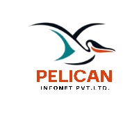 PELICAN INFONET PVT.LTD. | Upwork Company Profile - Hire Today