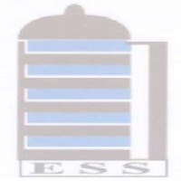 ESS Consulting | Upwork Company Profile - Hire Today