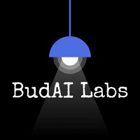 BudAI Labs | Upwork