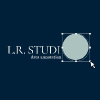 L.R. Studio - Data & Image Annotation | Upwork Company Profile - Hire Today