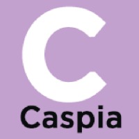 Caspia Research in Web | Upwork Company Profile - Hire Today