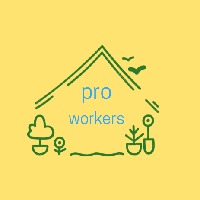 Pro workers | Upwork