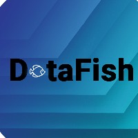 DataFish | Upwork Company Profile - Hire Today