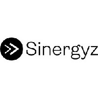Sinergyz LLC | Upwork