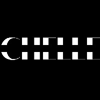 Chelle Digital Co. | Upwork Company Profile - Hire Today