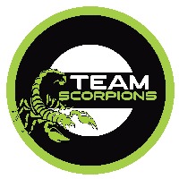 Team Scorpions | Upwork