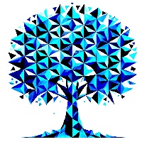 Naheed A. | Upwork Company Profile - Hire Today