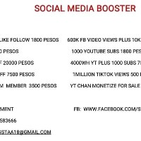 Social Media Booster | Upwork