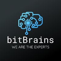 bitBrains | Upwork Company Profile - Hire Today