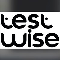 TestWise | Upwork Company Profile - Hire Today